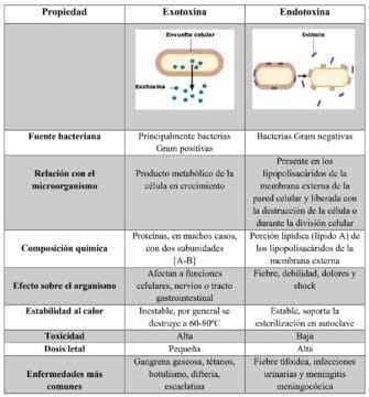 Diferencia entre Endotoxinas y Exotoxinas
