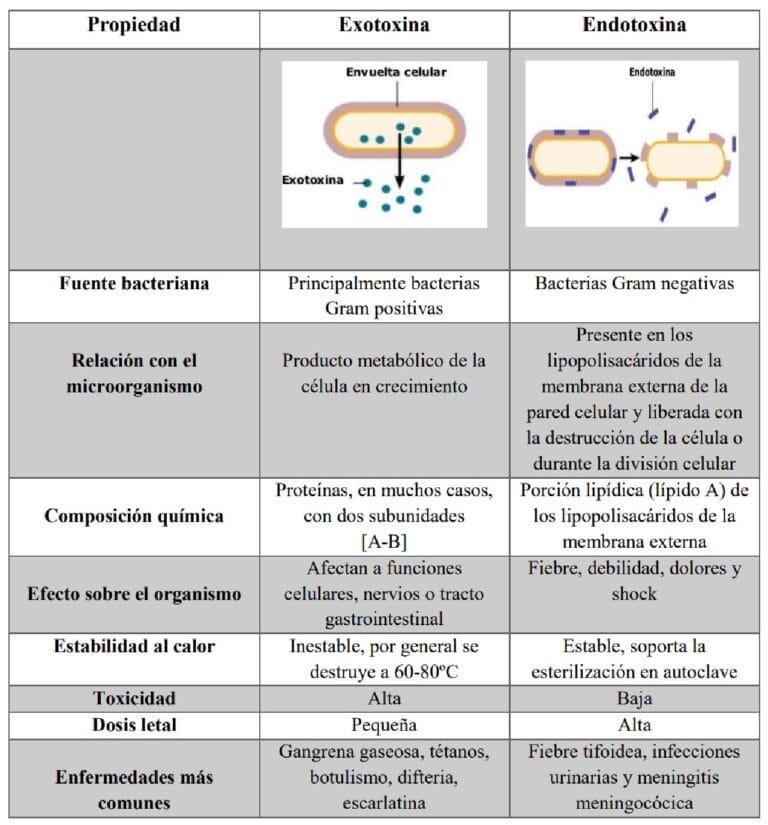Diferencia entre Endotoxinas y Exotoxinas
