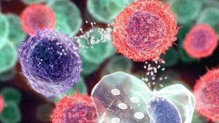 Diferencia entre gastroenteritis vírica y bacteriana